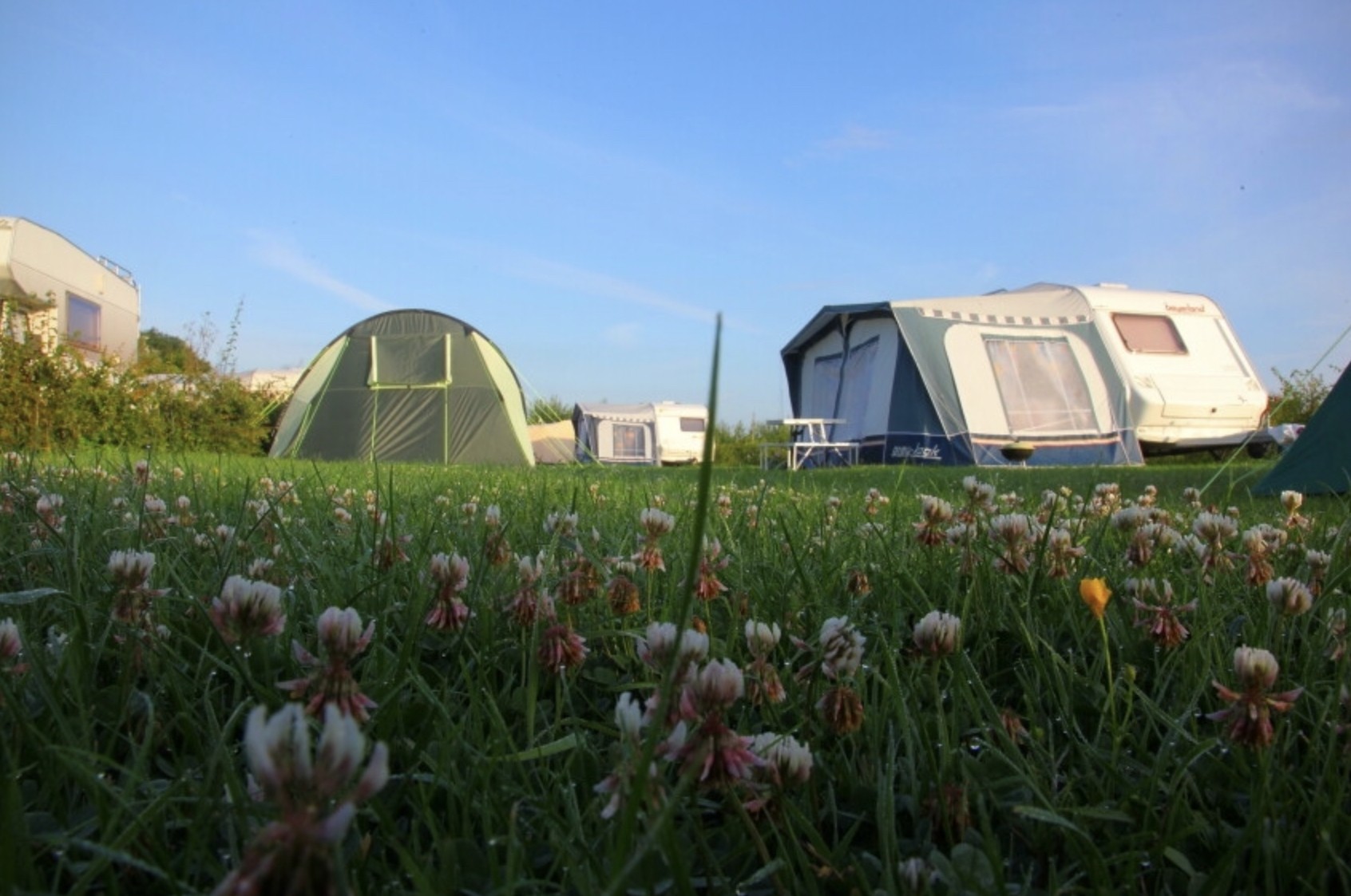 Minicamping Roos en Doorn vlakbij het strand van Domburg